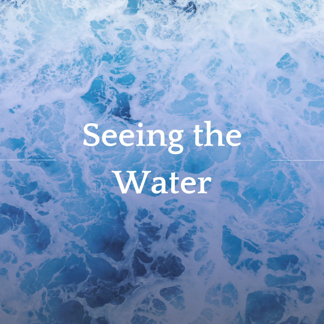 Seeing the Water - Laura Hartley | Public Love Enterprises